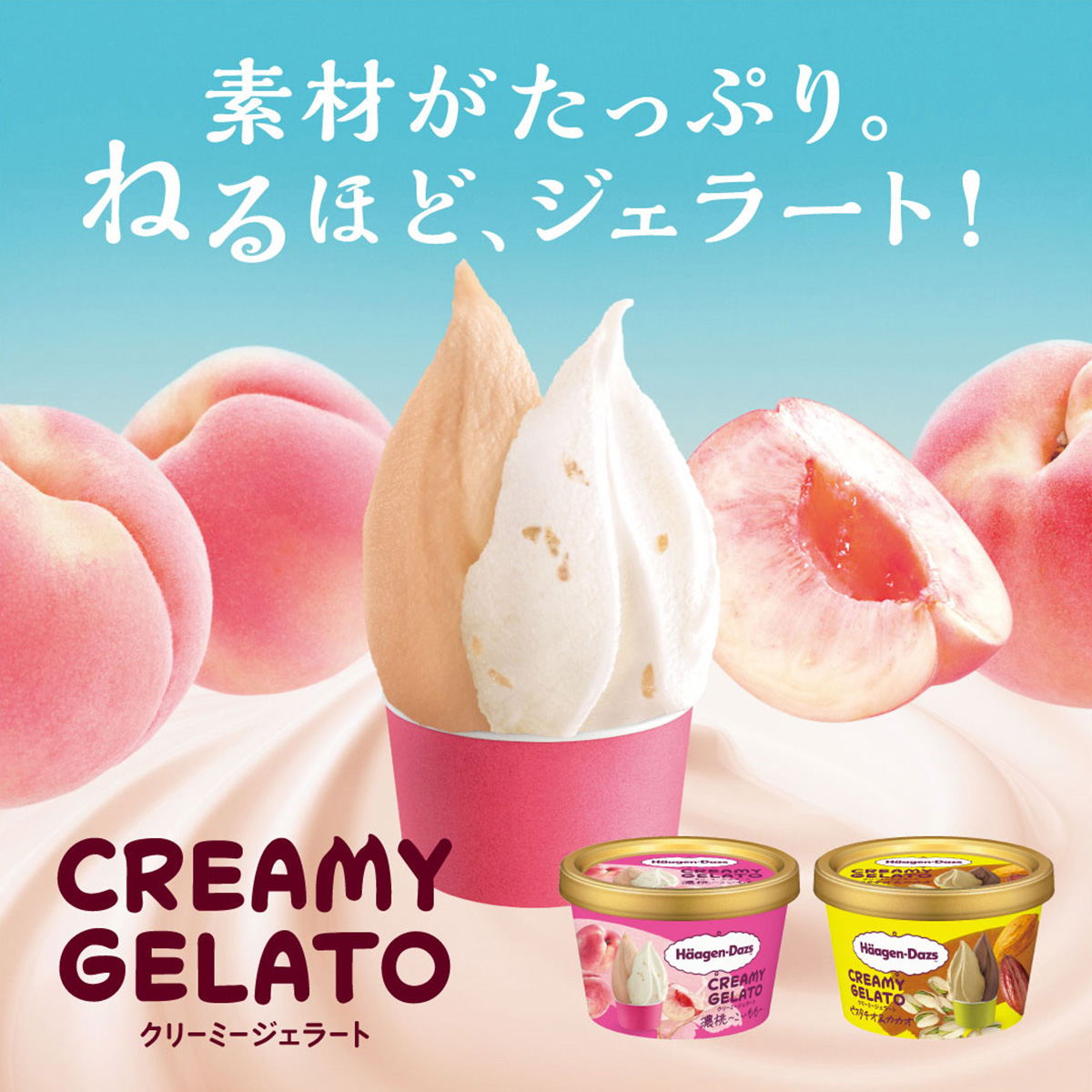 ハーゲンダッツ ジャパン Häagen-Dazs